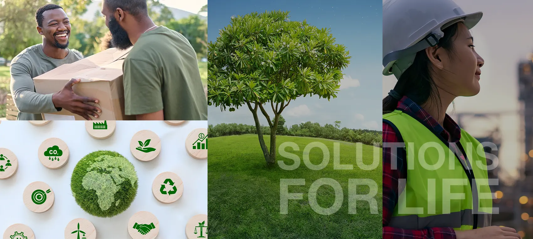 Safety & Sustainability – Norman Fox & Company